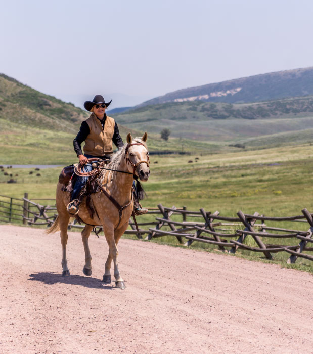 Gallery | Middle Creek Ranch